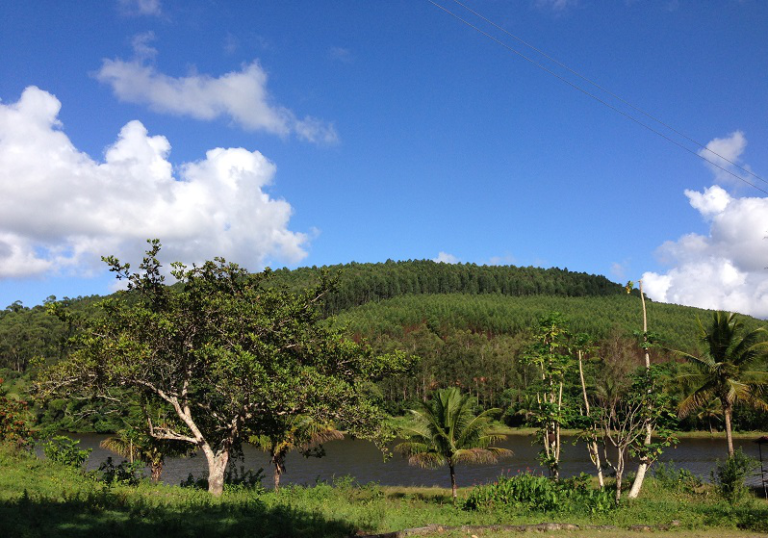 Anggota Grup yang Pernah Bernama Raja Garuda Mas Ini Mampu Menekan ...