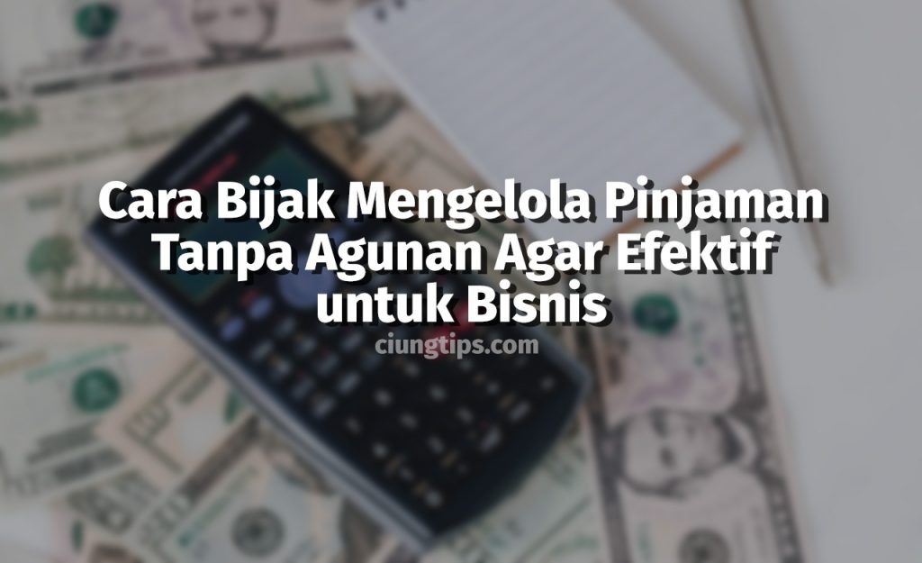 Cara Bijak Mengelola Pinjaman Tanpa Agunan Agar Efektif untuk Bisnis | Ciungtips™